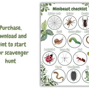 Minibeast Scavenger Bug Hunt Activity Sheet Downloadable Bug Hunt Sheet ...