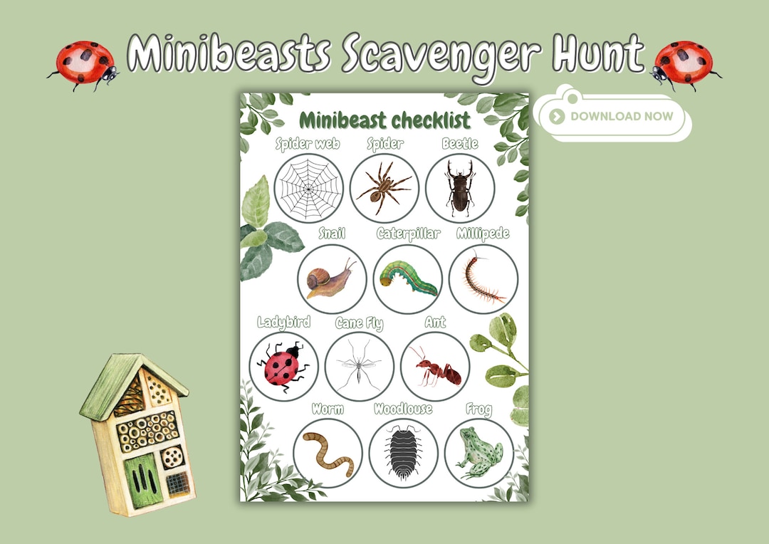 Minibeast Scavenger Bug Hunt Activity Sheet Downloadable Bug Hunt Sheet ...