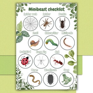 Minibeast Scavenger Bug Hunt Activity Sheet Downloadable Bug Hunt Sheet ...