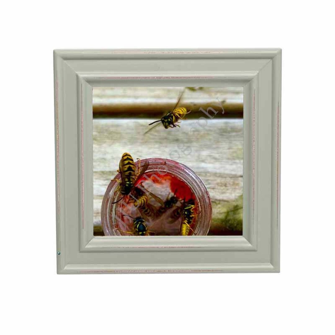 Wasps Around Jam Pot Digital Print - Etsy