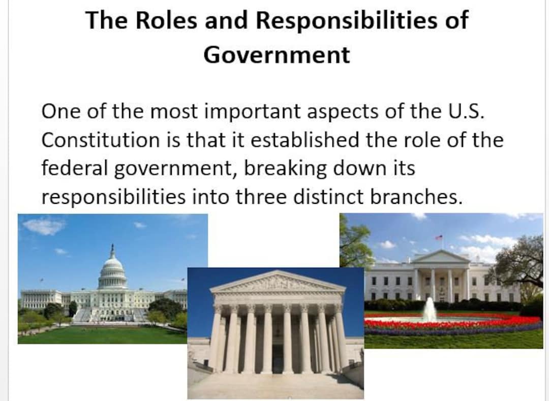 Three Branches of Government Powerpoint Presentation - Etsy