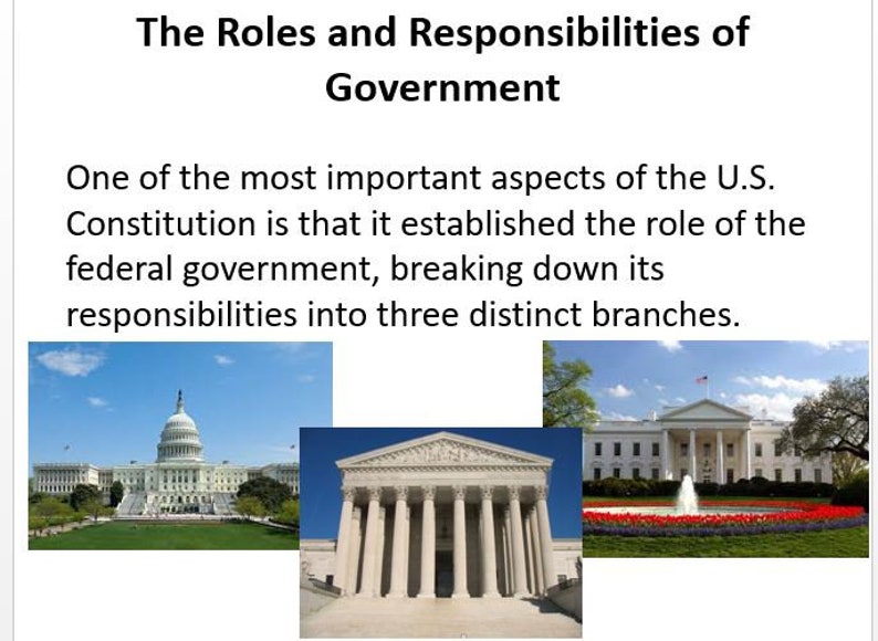 Three Branches of Government Powerpoint Presentation - Etsy