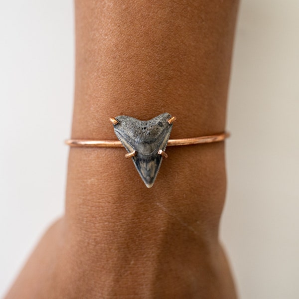 Shark Tooth Bracelet - Etsy