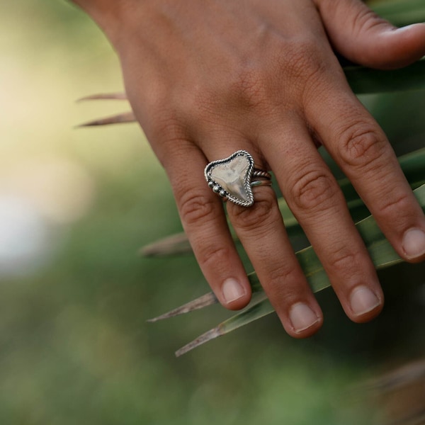 Shark Tooth Ring - Etsy