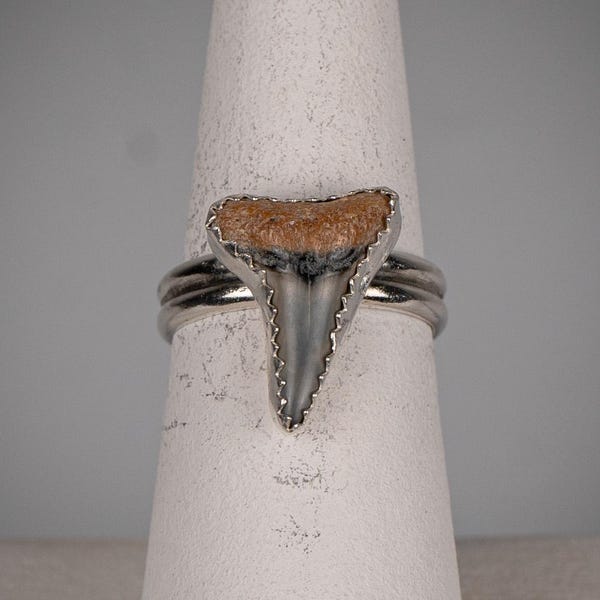 Shark Tooth Ring - Etsy
