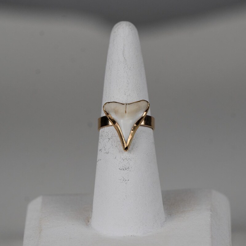 Shark Tooth Ring - Etsy