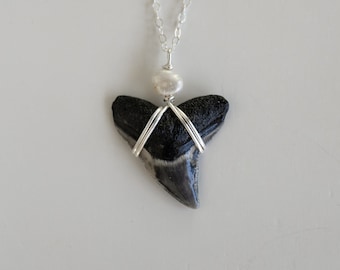 Freshwater Pearl X Shark Tooth Necklace - Etsy