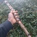 Handmade Wooden Branch Flute: Native American Style, Key of G - Etsy