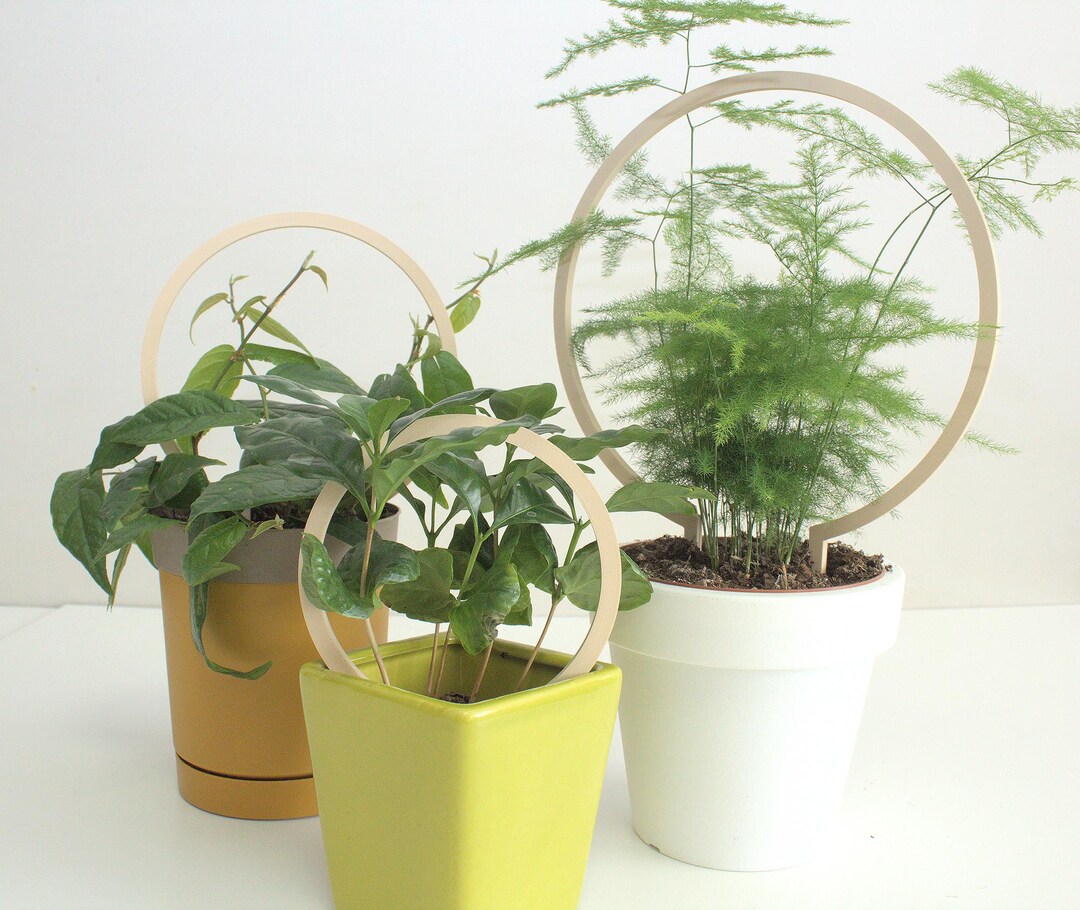 Circle Trellis, for Indoor Plants, Houseplant Trellis, Plant Stake ...