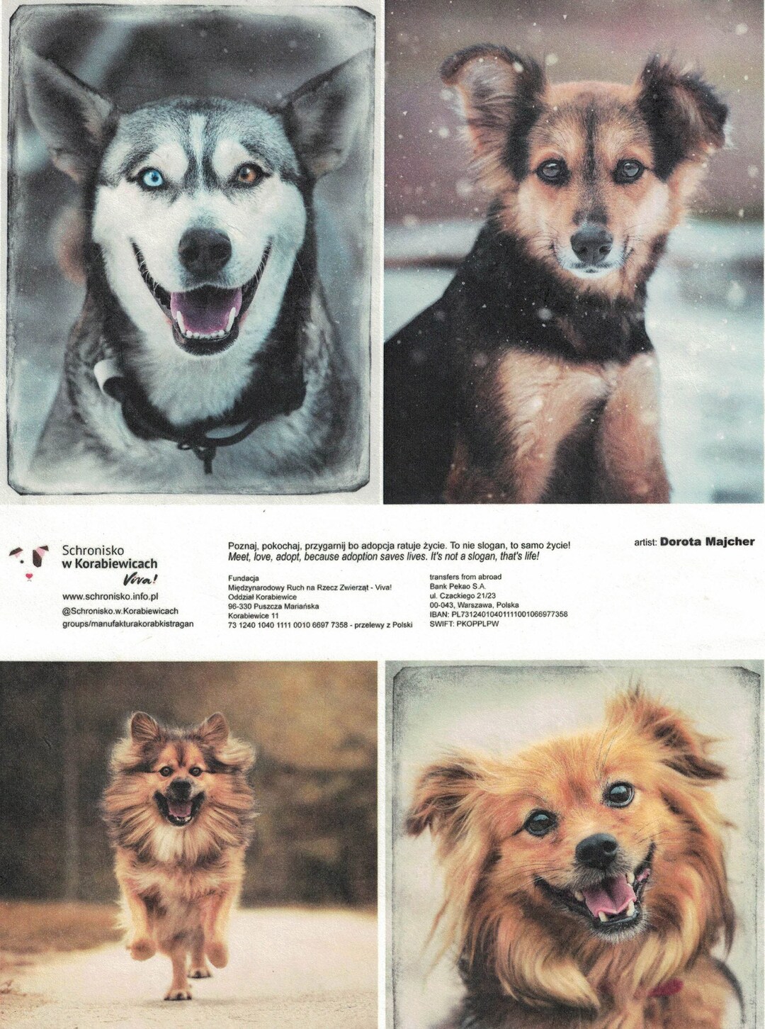 Dogs Rice Paper for Decoupage A4, Animal Rice Paper, Art Journal ...