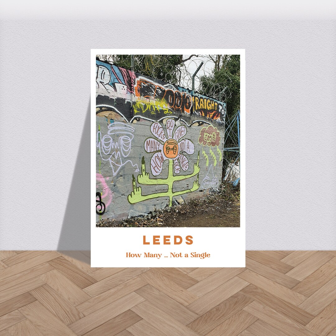 How Many F**ks?, Leeds Graffiti Print - Graphic Urban Skyline Poster ...