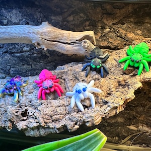 3D Printed, Articulated, Jumping Spider, Mystery Bundle Packs, Color ...