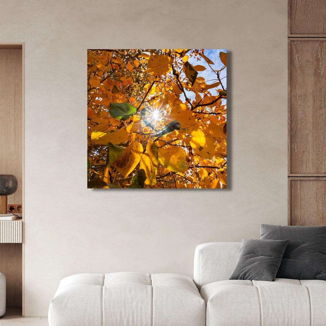 Fall Foliage Starburst Square Fine Art Print, Canvas Print, Metal Print ...