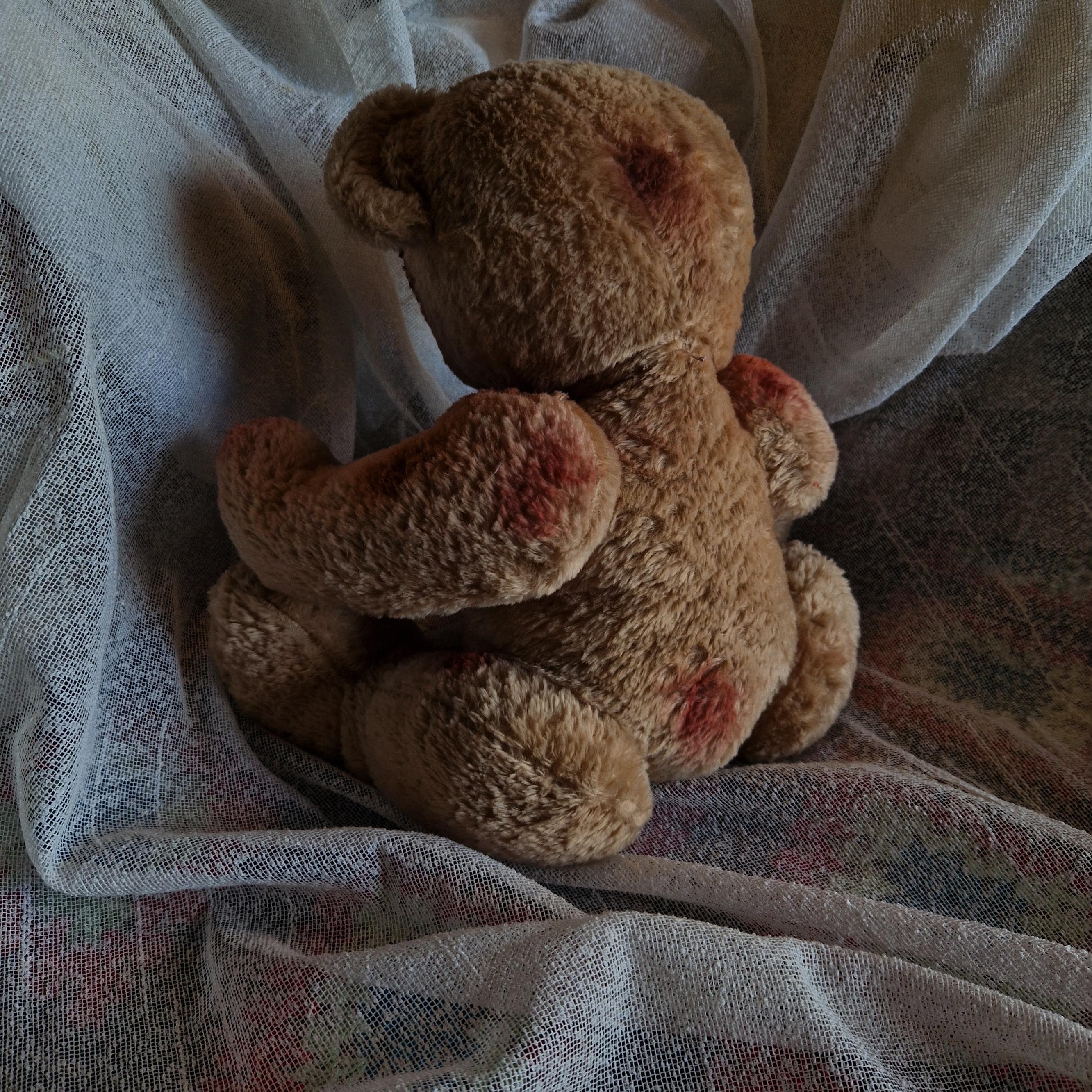 Creepy Horror Scary Teddy Bear Disturbing Spooky Haunted Stuffed Animal ...