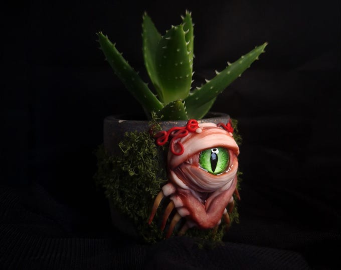 Scary Creepy Plant Pot, Horror Disturbing Decor, Dark Mysterious Flower ...