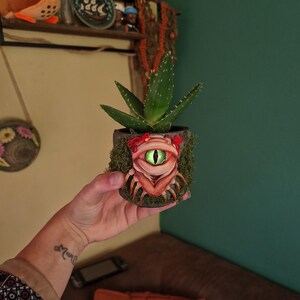 Scary Creepy Plant Pot, Horror Disturbing Decor, Dark Mysterious Flower ...