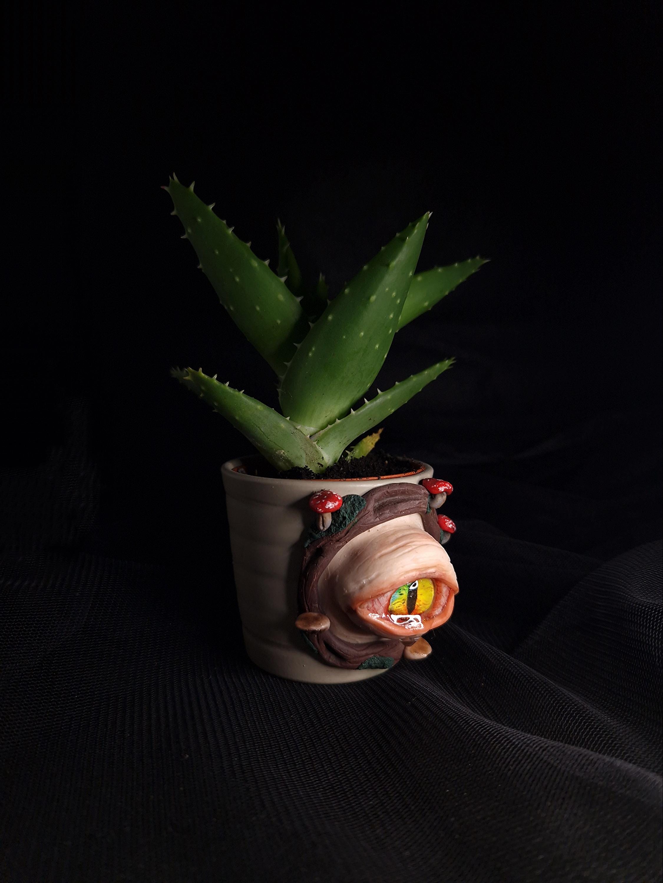 Scary Creepy Plant Pot, Horror Fantasy Decor, Dark Fairytale Flower Pot ...