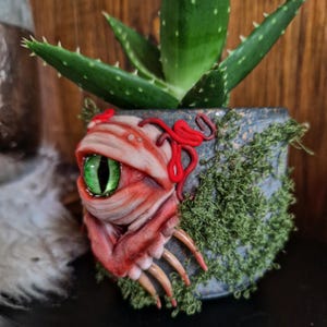 Scary Creepy Plant Pot, Horror Disturbing Decor, Dark Mysterious Flower ...