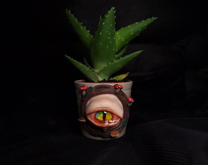 Scary Creepy Plant Pot, Horror Fantasy Decor, Dark Fairytale Flower Pot ...