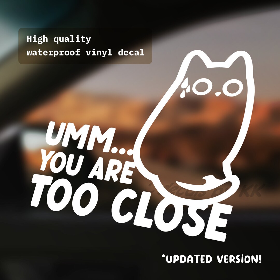 You're Too Close Sticker | Funny Reaction Meme | Awkward Cat | Cat ...