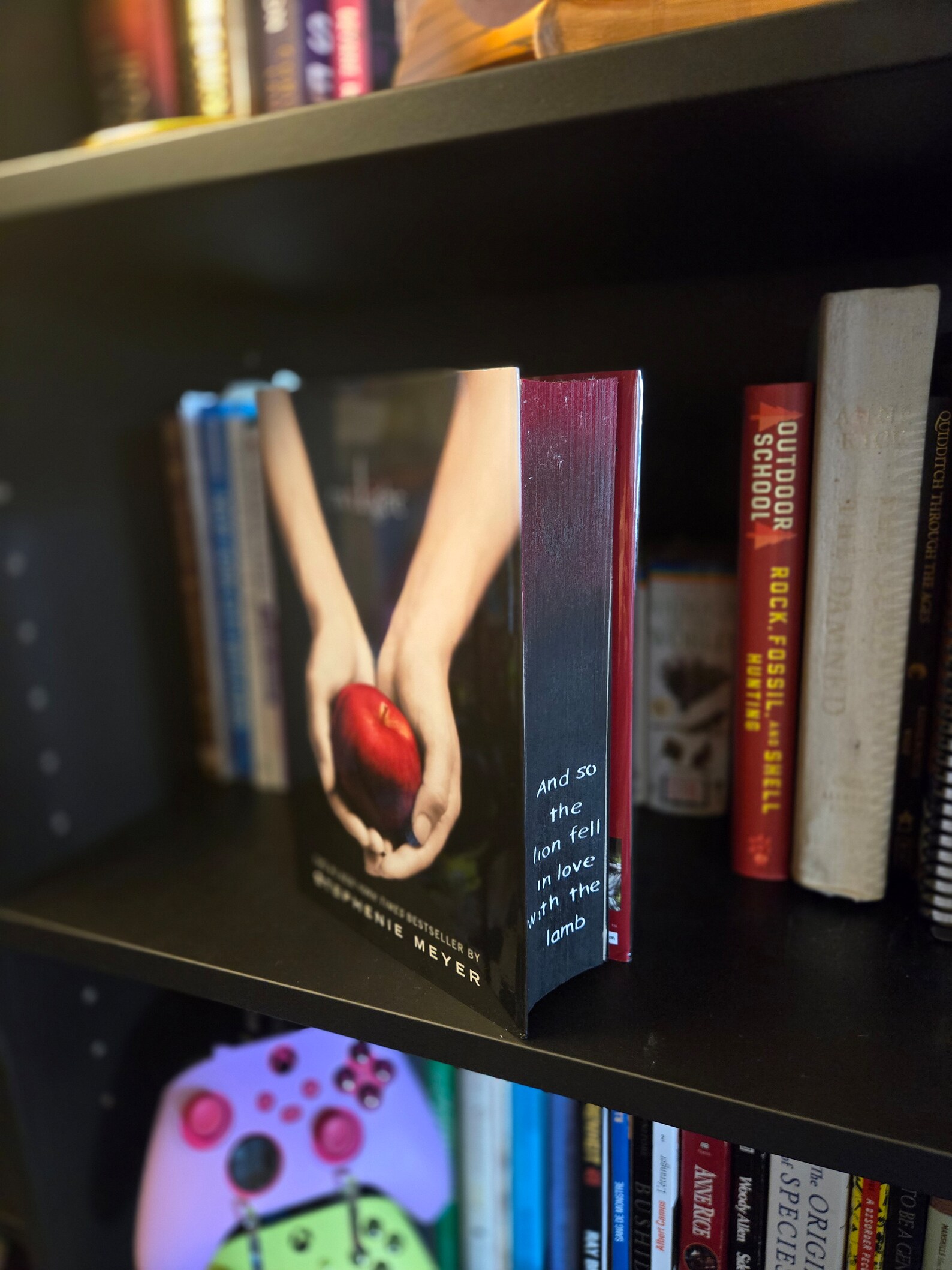 Custom Sprayed Edge Books - Etsy