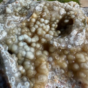 Ocean Jasper Botryoidal Jelly Raw Large Rough Specimen Orbs Rare - Etsy