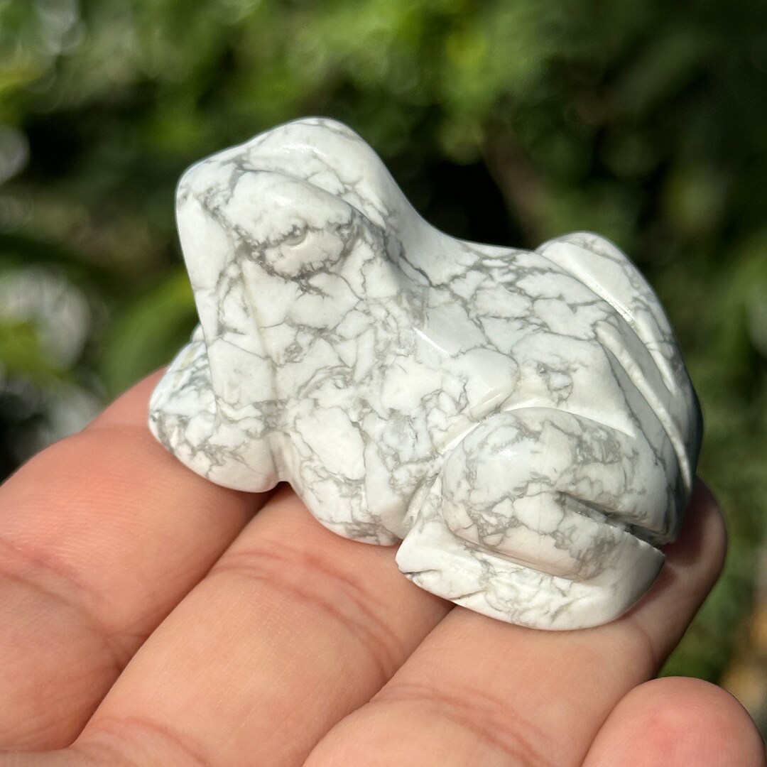 Howlite HQ Frog Carving Stunning Formations White Crystal Gray Patterns ...