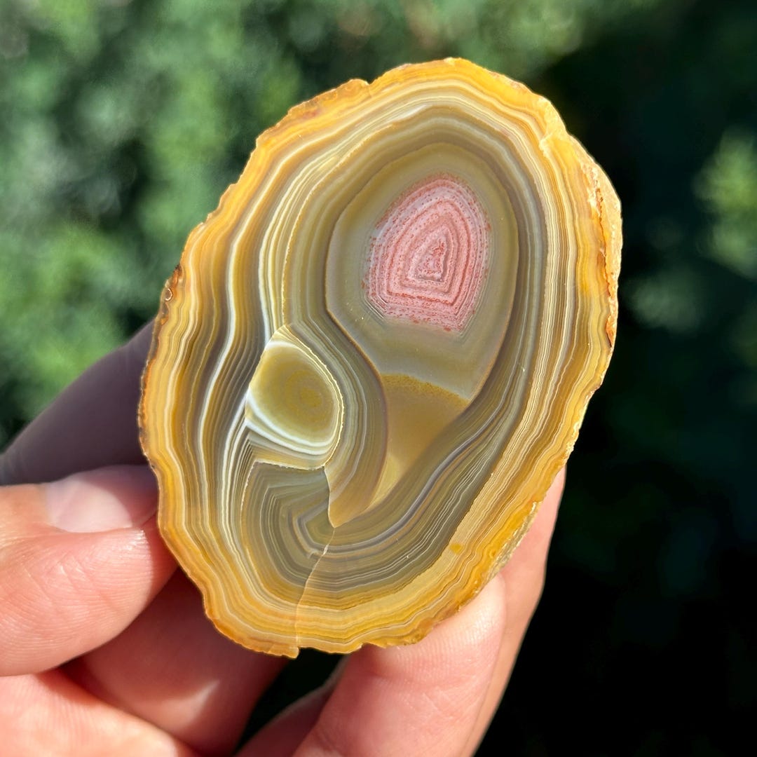 Madagascan Banded Agate Polished Geode Island Agate Pink Center Crystal ...