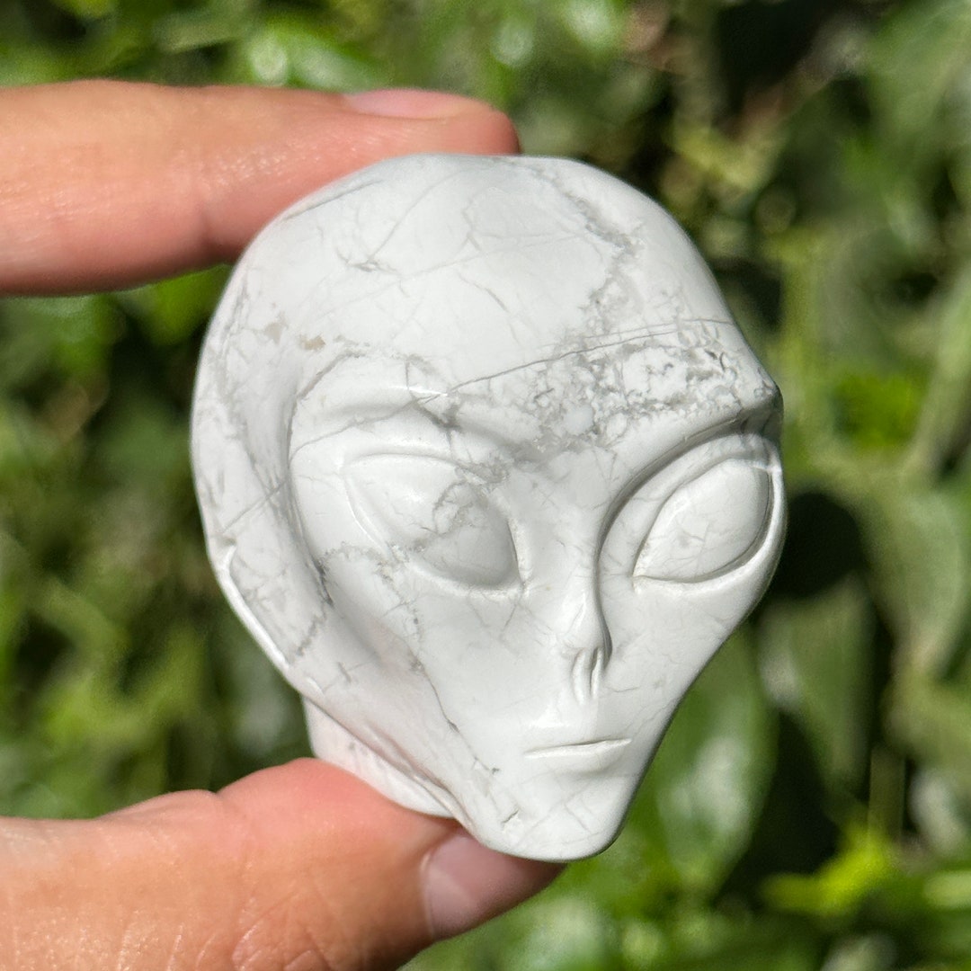2” Howlite Alien Crystal Carved Gemstone Gray Veins White Starbeing Ufo ...