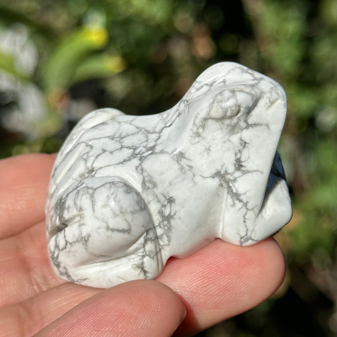 Howlite HQ Frog Carving Stunning Formations White Crystal Gray Patterns ...