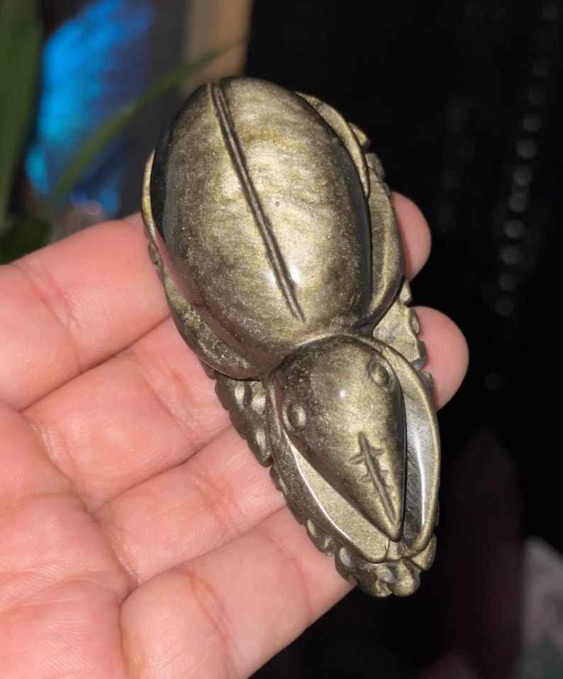 Gold Sheen Obsidian Chunky Beetle HQ Carving Crystal Bug Gemstone Full ...