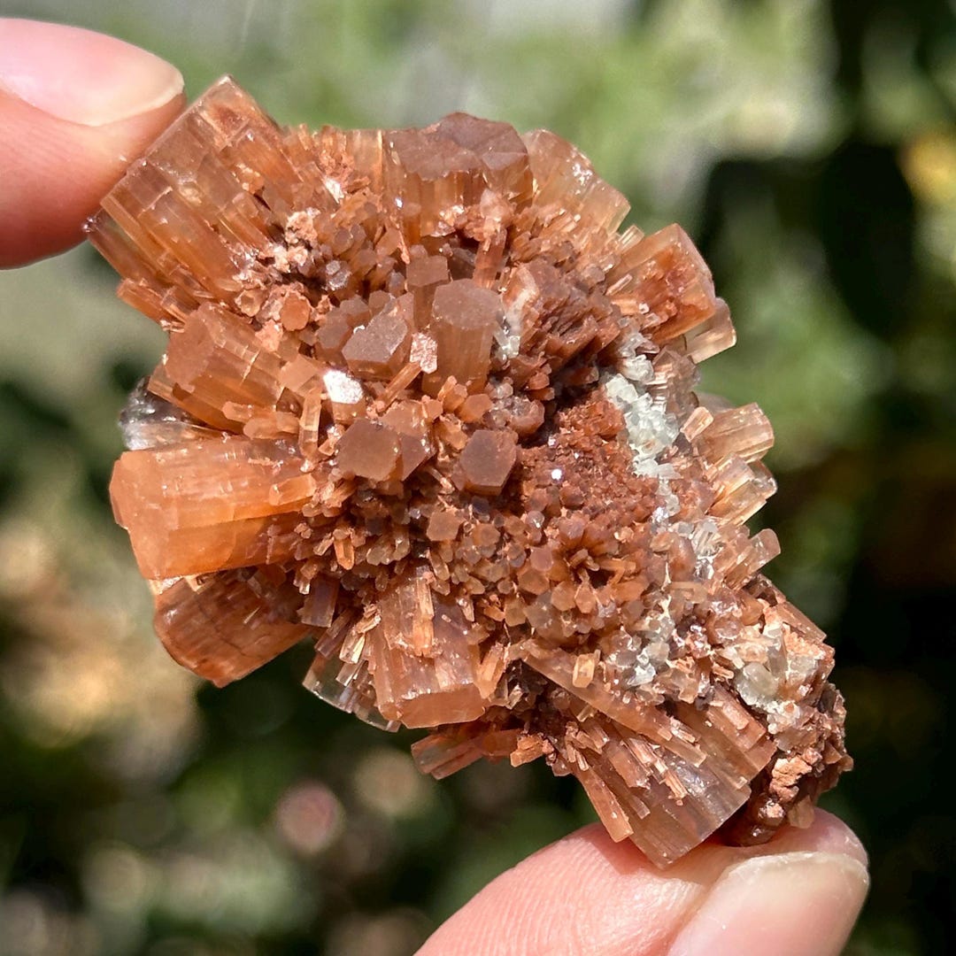 Aragonite Mineral Specimen Star Cluster Natural Crystal 52mm - Etsy