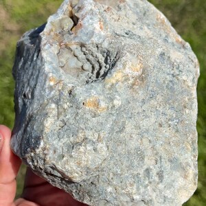 Ocean Jasper Botryoidal Jelly Raw Large Rough Specimen Orbs Rare - Etsy