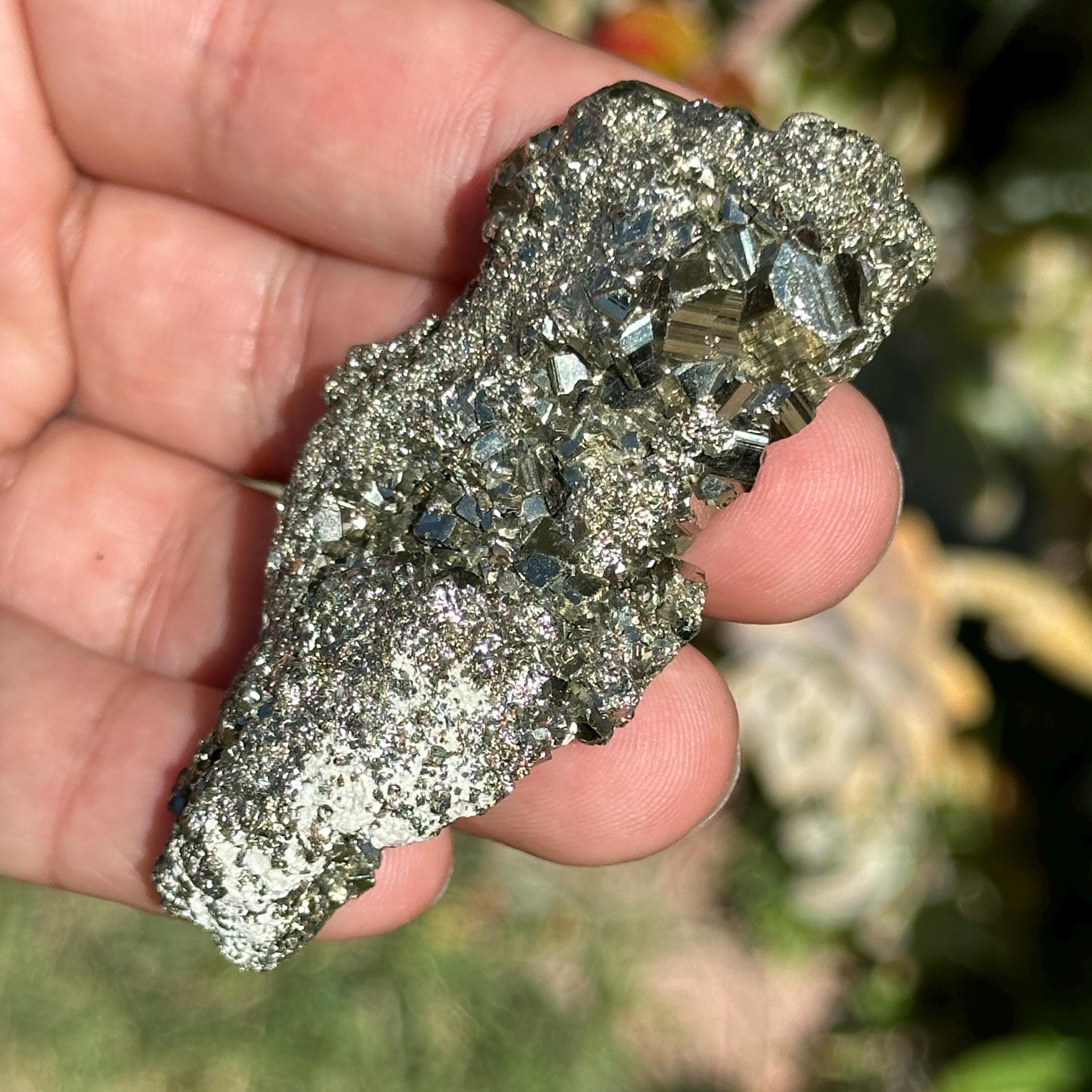 HQ Pyrite Cluster Natural Mineral Specimen Fools Gold Raw - Etsy
