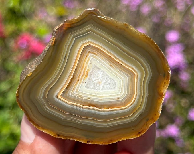 Banded Agate Polished Geode Stone Brown Tones Crystallized Center - Etsy