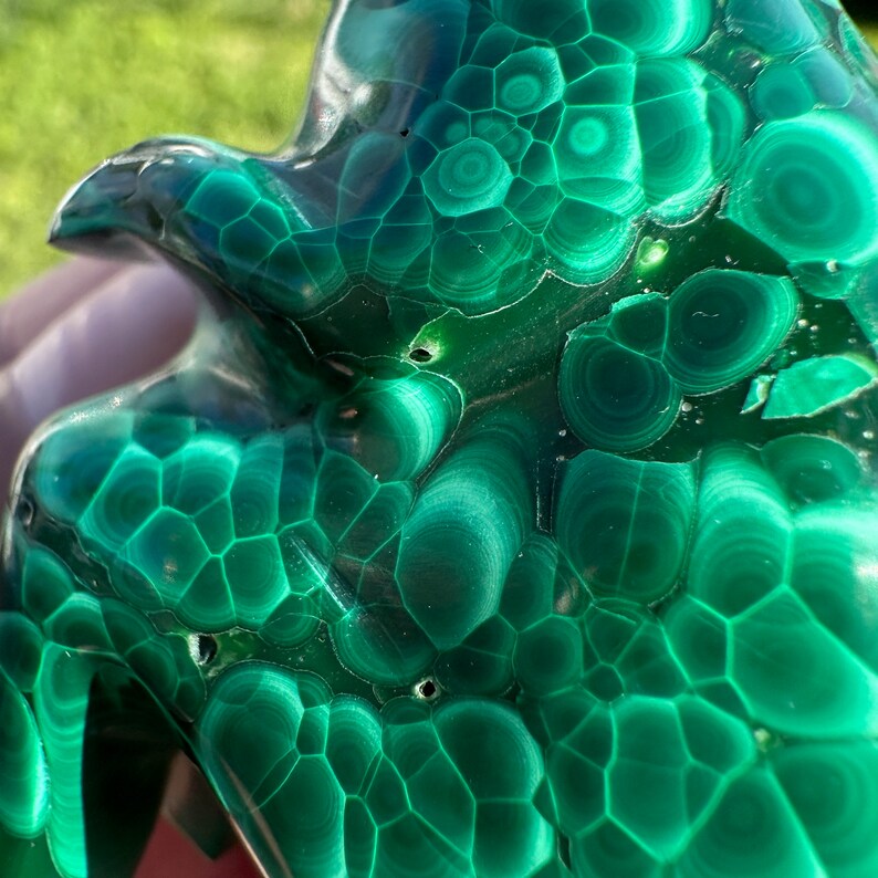 Malachite Dino T Rex Carving HQ Specimen Crystal Gemstone Dinosaur ...