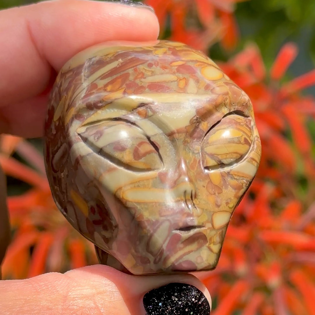 Beautiful Bamboo Jasper Alien Carved Stone Starbeing Kiss Ufo ET ...
