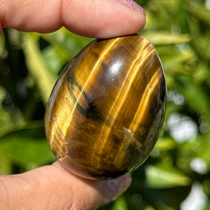 HQ Tigers Eye Crystal Egg Flashy Gemstone Striped Specimen Gold 48mm - Etsy