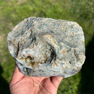 Ocean Jasper Botryoidal Jelly Raw Large Rough Specimen Orbs Rare - Etsy