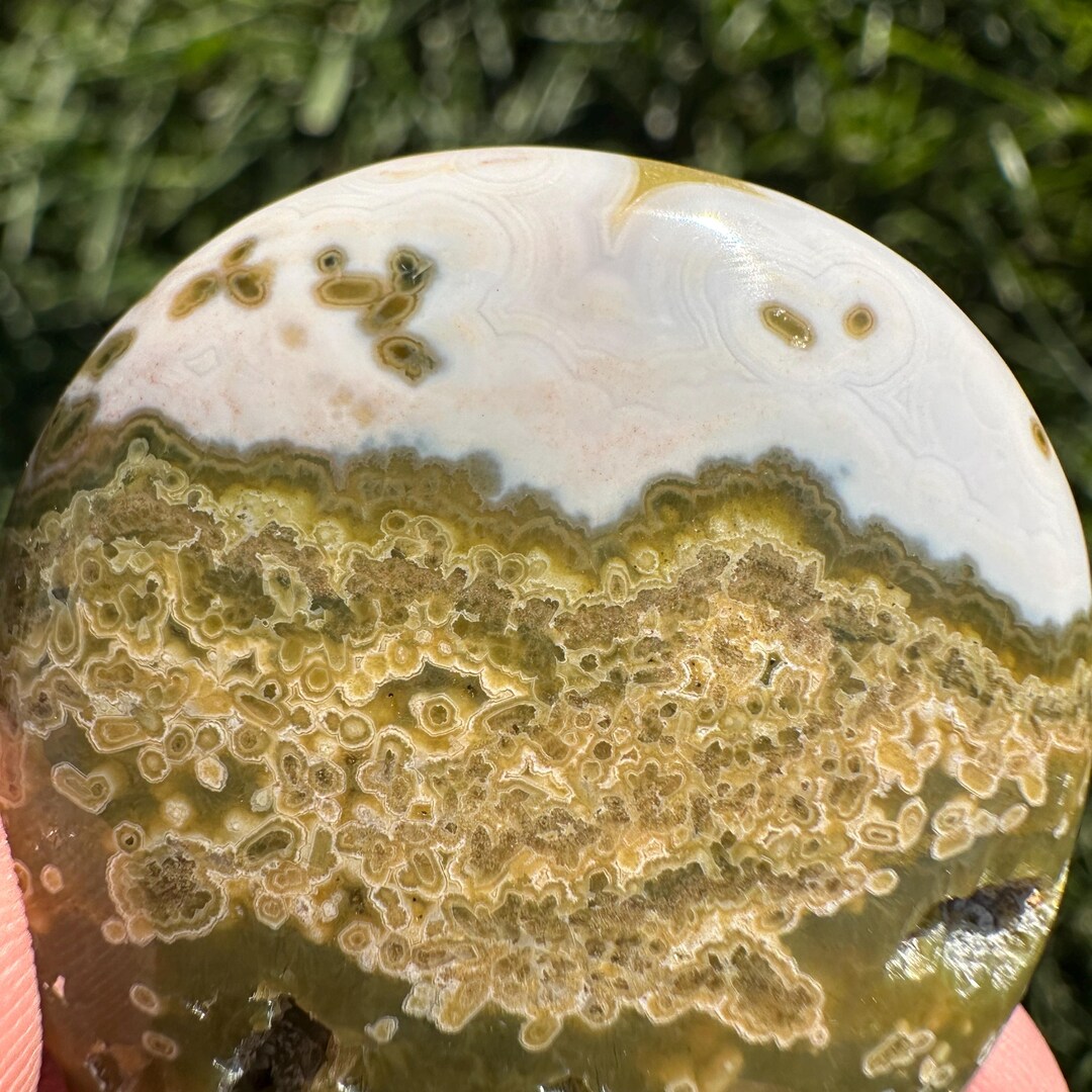 Ocean Jasper HQ Palm Stone Green Flowers Orbs Druzy 39mm - Etsy