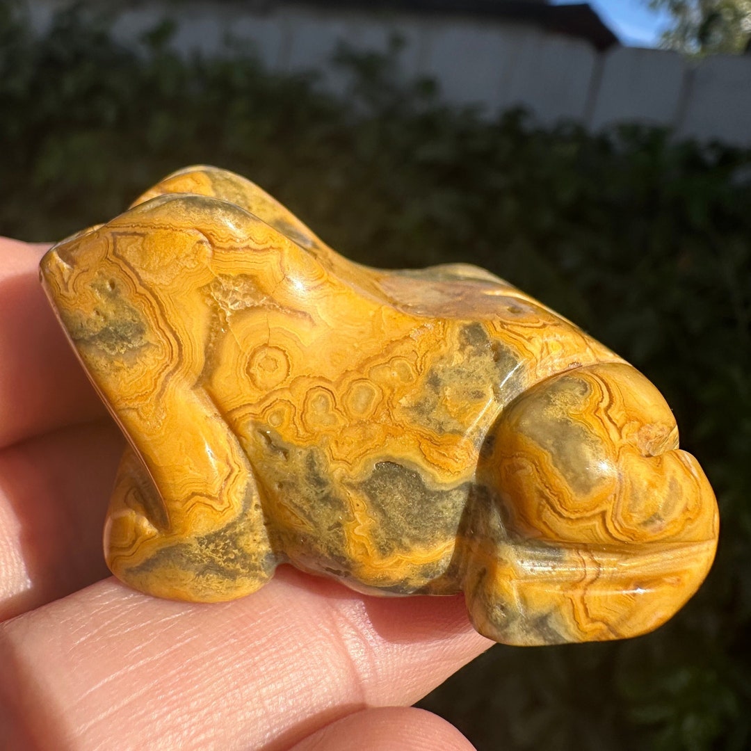 HQ Crazy Lace Agate Frog Carving Stunning Formations Crystal Chalcedony ...