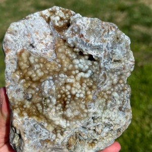 Ocean Jasper Botryoidal Jelly Raw Large Rough Specimen Orbs Rare - Etsy