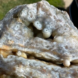 Ocean Jasper Botryoidal Jelly Raw Large Rough Specimen Orbs Rare - Etsy