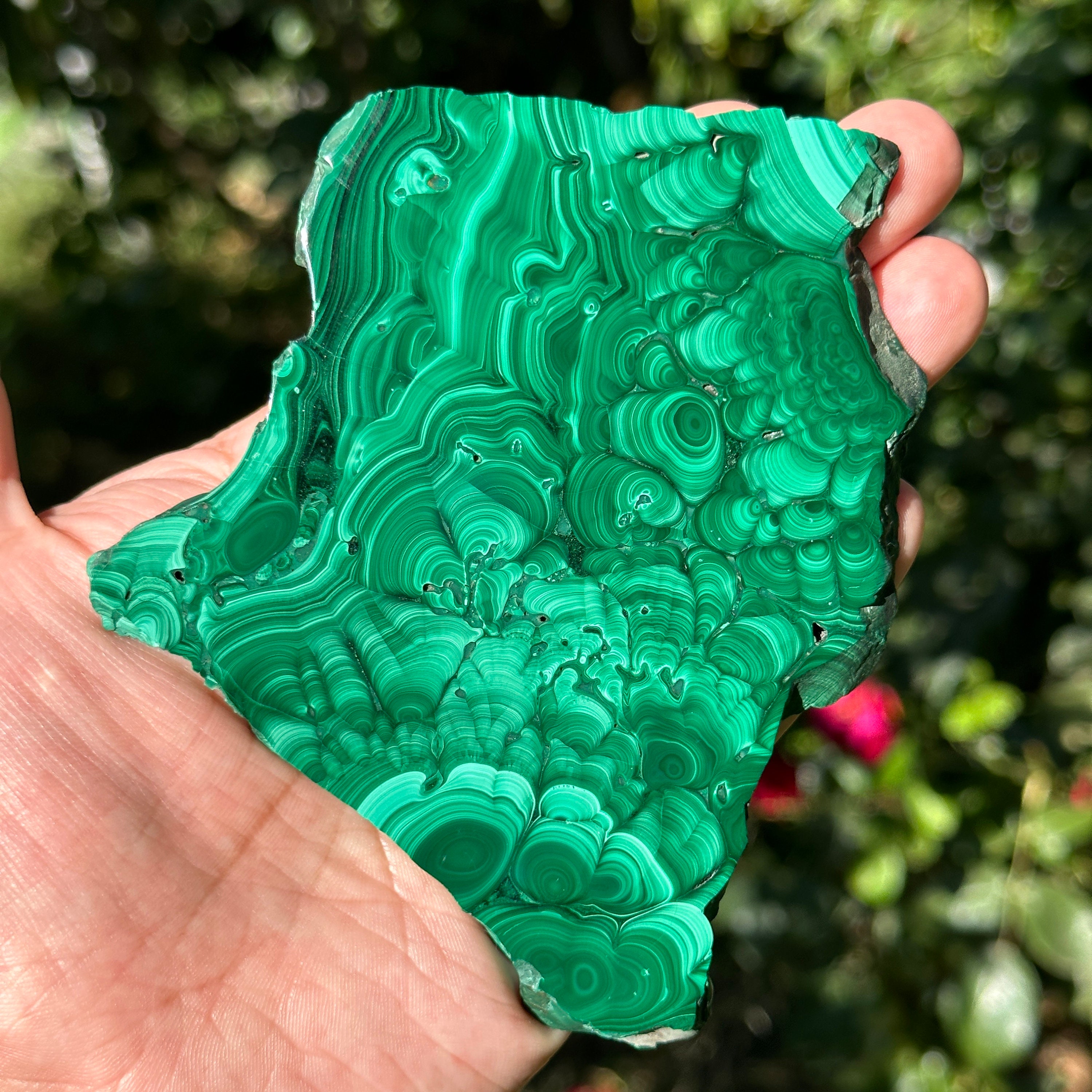 4.9 HQ Malachite Slab Specimen Crystal Slice Gemstone - Etsy