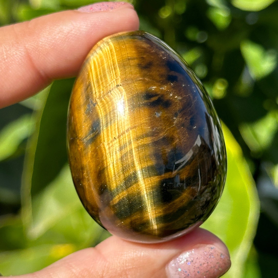 HQ Tigers Eye Crystal Egg Flashy Gemstone Striped Specimen Gold 48mm - Etsy
