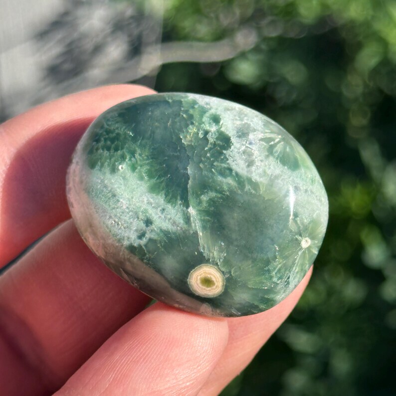 Ocean Jasper Eye HQ Pocket Stone Bullseye Orbs Green Flowers 37mm - Etsy