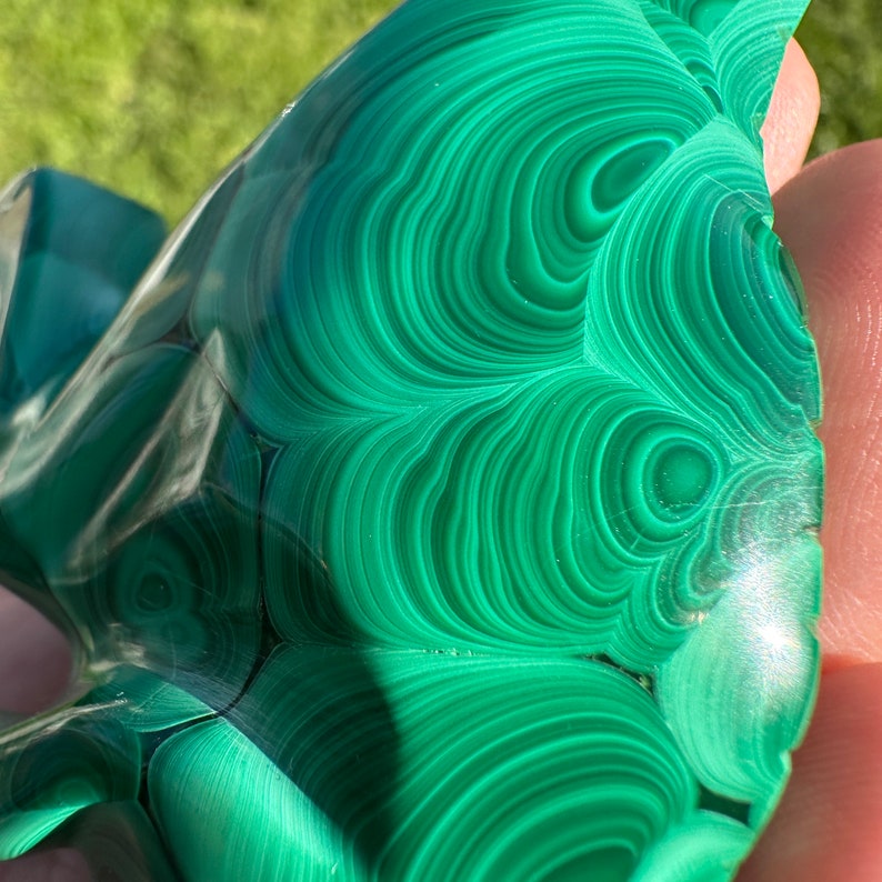 Malachite Dino T Rex Carving HQ Specimen Crystal Gemstone Dinosaur ...