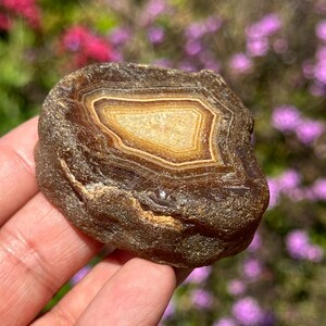 Banded Agate Polished Geode Stone Brown Tones Crystallized Center - Etsy