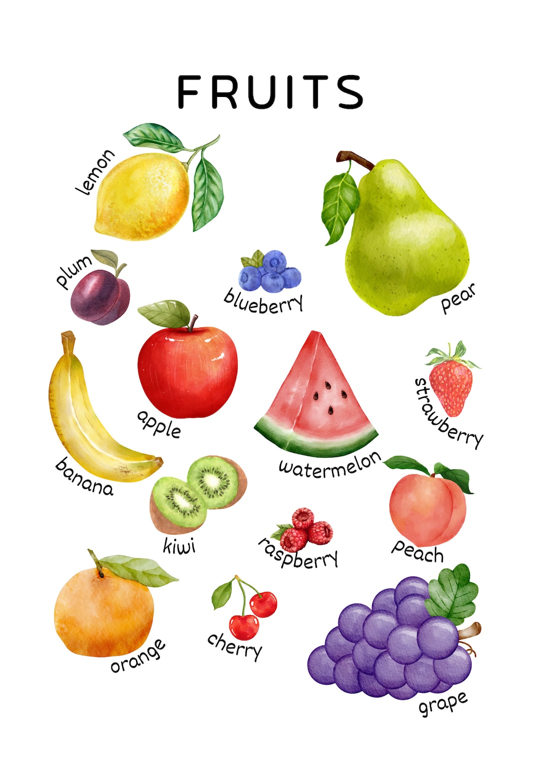FRUITS & VEGETABLES Prints - Etsy