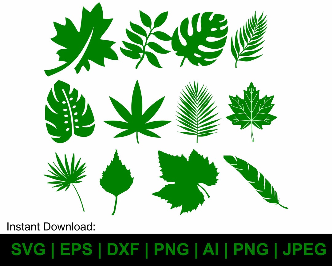Tropical Leaves Svg, Monstera Leaf Svg, Palm Banana Fern Jungle Leaf ...
